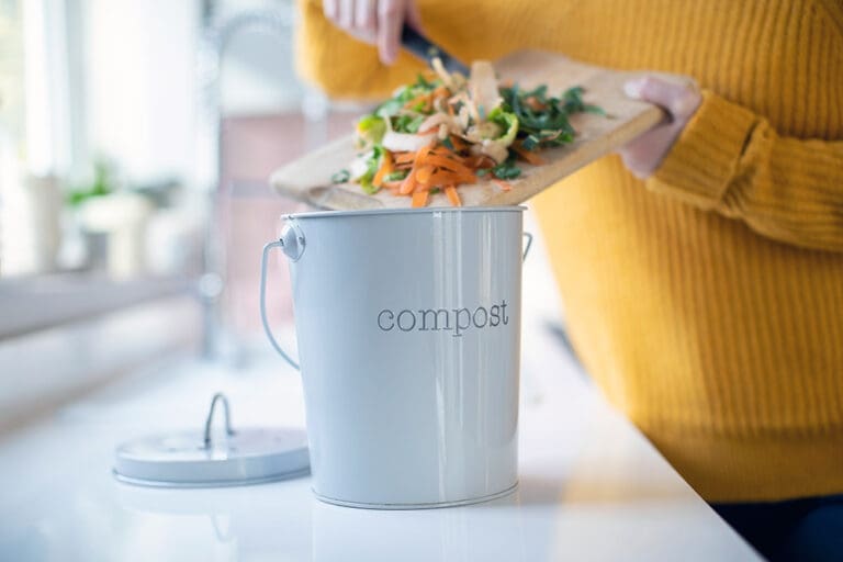 Beginners guide: How to compost
