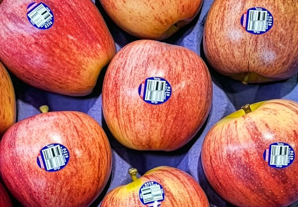 Copefrut y Sinclair: una visión compartida para el envasado sostenible ...